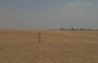 15° Festival internacional Signos da Noite - Lisboa 2017